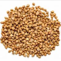 China 128 Channels Wheat Grain Color Sorter 2 Chutes for sale
