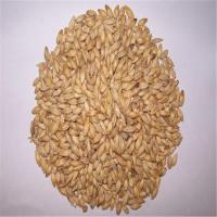 China CCD Barley Wheat Sorter Machine High Capacity Easy Operated for sale