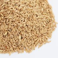 China Oat Wheat Color Sorter Machine 7 Chutes 2 Years Warranty for sale
