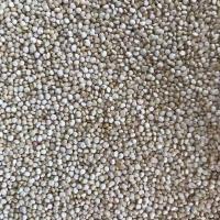 China Self Feeding Intelligent Quinoa Wheat Color Sorter 10t/h for sale