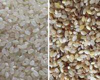 China Sesame Soybean Sorghum Millet Wheat Corn Color Sorter With CCD for sale