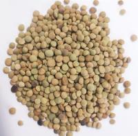 China China Agricultural Automatic Grain Color Sorter Machine Hot in the United States for sale