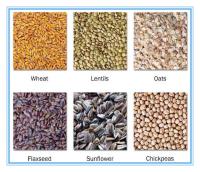 China WENYAO High Technologhy CCD LED Grain Color Sorter with 10 Chutes 540 Channels for sale