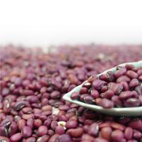 China CHina Factory Wholesale Mini Red Beans Color Sorter Machine 1 Ton Per Day for sale
