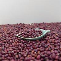 China CHina Factory Wholesale Mini Red Beans Color Sorter Machine 1 Ton Per Day for sale