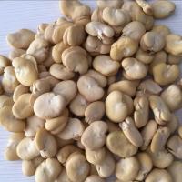 China 2022 Customized Top Quality Broad Beans Color Sorter Grading Machinery with 2 Chutes for sale