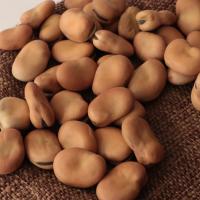 China 2022 Customized Top Quality Broad Beans Color Sorter Grading Machinery with 2 Chutes for sale