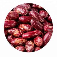 China Factory Quality Supplier Low Price Red Kidney Beans Sorting Machine Hot in Brazil for sale