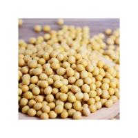China WENYAO 2022 Hot Sale CCD LED Auto 4 Chutes Soybean Color Grading Machine Hot in Brazil for sale
