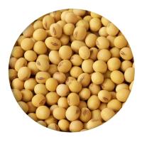 China WENYAO 2022 Hot Sale CCD LED Auto 4 Chutes Soybean Color Grading Machine Hot in Brazil for sale