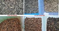 China 1.6KW 220V Grain Color Sorter , Sesame Seeds Coffee bean Mung bean Processing Machine for sale