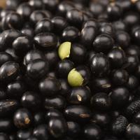 China Multi Purpose Mini Color Sorter For Broad Beans Mung Bean for sale