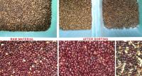 China Image Processing Coffee Bean Sesame Color Sorter With Special Lens for sale
