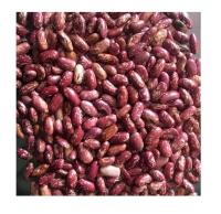 China China Factory Wholesale Customized Automatic Kidney Beans Color Separator Machine for sale