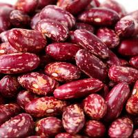 China China Factory Wholesale Customized Automatic Kidney Beans Color Separator Machine for sale