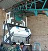China Chinese Intelligent Peanut grains Color Sorter CCD  separator Machine for sale