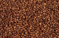China Brazil Cocoa Beans Grains Color Sorting Machine With CCD RGB for sale