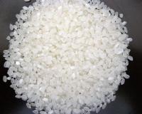 China WENYAO Wholesale CCD LED Small Grain Rice Corn Beans Color Sorter Hot in Ploland for sale
