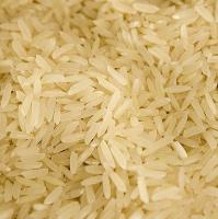 China WENYAO Wholesale CCD LED Small Grain Rice Corn Beans Color Sorter Hot in Ploland for sale