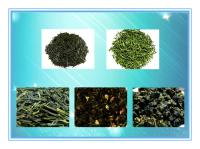 China Champion Popular and Factory Price Multifunction Color Selector Machinery for sale