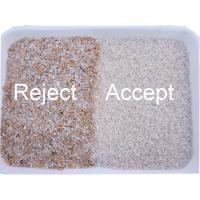 China Optical Cardamom Colour Sorting Machine Multifunction Tea Coffee Bean Dried Nuts Color Sorter for sale