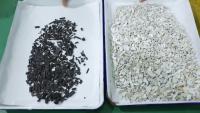 China Glass Metal Plastic Ore Powder Sorting Machine Belt Type for sale