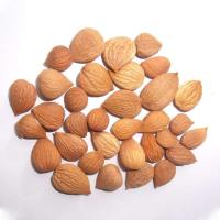 China China Quality Supplier Complete Set Almond Color Sorter Machine For Food Plant for sale