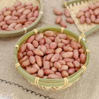 China WENYAO CCD LED Lights Nuts Peanuts Color Sorter Machine For Food Plant for sale