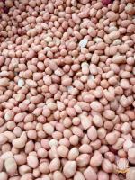 China WENYAO CCD LED Lights Nuts Peanuts Color Sorter Machine For Food Plant for sale