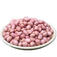 China CCD LED Peeled Peanut Nuts Color Sorter 5 Chutes 320 Channels for sale