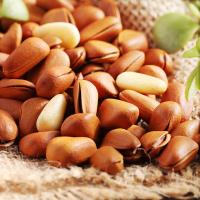 China Larger Capacity Pine Nuts Color Sorter With FPGA Process Chip for sale