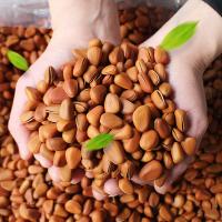 China Larger Capacity Pine Nuts Color Sorter With FPGA Process Chip for sale