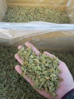China High Efficiency Raisins Nuts Color Sorter Machine Output 100 Tons Per Day for sale