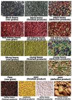 China 8/512pcs Chutes Toshiba Japan CCD 2-3t/h Throughput Multifunction Color Sorter Machine for sale