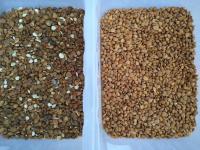 China 5 Chutes Nuts Color Sorter with Japan Toshiba CCD Sensor and ≥99.99% Accuracy for Peeled Peanut Almond Walnut Raisin for sale