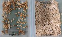 China 5 Chutes Nuts Color Sorter with Japan Toshiba CCD Sensor and ≥99.99% Accuracy for Peeled Peanut Almond Walnut Raisin for sale