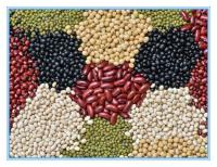 China Multifunction Corn Quinoa Wheat Rice Color Sorter Automatic Computing for sale
