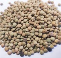 China Multifunction Corn Quinoa Wheat Rice Color Sorter Automatic Computing for sale