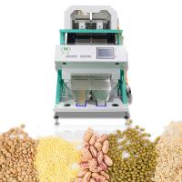 China Wenyao Auto Dehydrated Vegetable Sorting Machine 2 Chutes Optical for sale