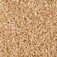 China WENYao 4 Chutes 256 Channels Factory Price Brown Rice Color Sorting Machine for sale