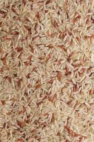 China WENYao 4 Chutes 256 Channels Factory Price Brown Rice Color Sorting Machine for sale