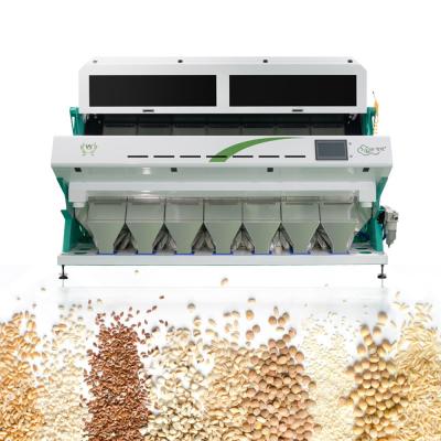 China 7Chute Intelligent Fully Automatic Chinese Sorghum Color Sorter Machine 70 Tons Per Day for sale