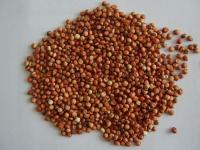 China 7Chute Intelligent Fully Automatic Chinese Sorghum Color Sorter Machine 70 Tons Per Day for sale