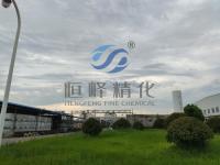 China Hengfeng Wastewater Treatment Chemical Cationic Polyacrylamide Flocculant CPAM Polyacrylamide for sale
