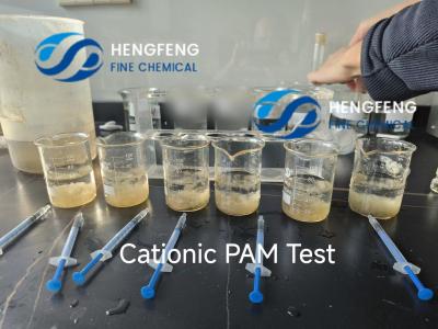China Hengfeng Wastewater Treatment Chemical Cationic Polyacrylamide Dewatering Flocculant PAM Polimer for sale