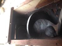 China Anionic Nonionic Cationic Polyacrylamide Powder CPAM For Sludge Dewatering for sale