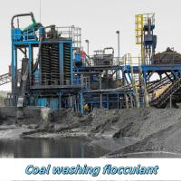 China Coal Washing Plant Flocculant Powder Chemical Polyacrylamide PAM for sale