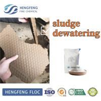 China High Molecular Flocculant Cationic Landfill Leachate Wastewater Treatment for sale