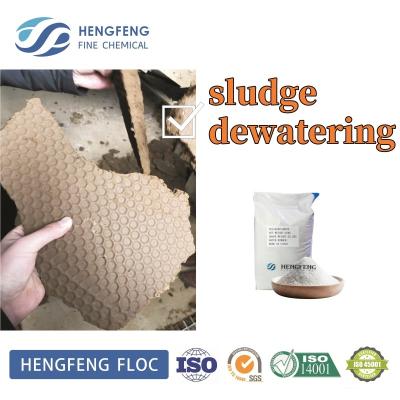 China High Molecular Flocculant Cationic Landfill Leachate Wastewater Treatment for sale
