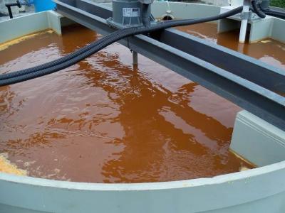 China Cationic Polyacrylamide PAM Flocculant for Heat Resistant and Salt Tolerant Wastewater Treatment for sale